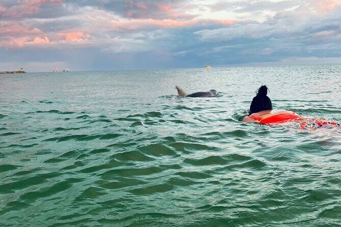 Destin Private Boat Tours Dolphin Crab Island Snorkel Sunset - Key Points