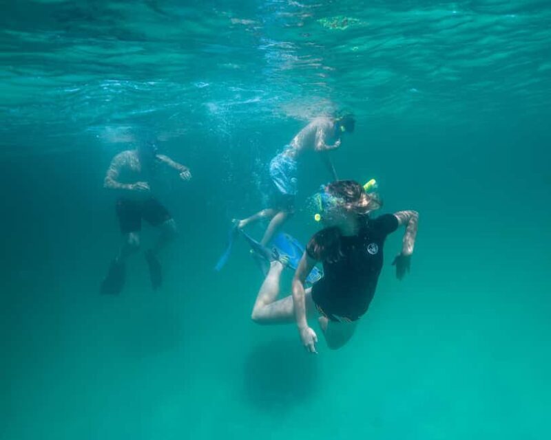 Destin: Reef Snorkeling Adventure - Why This Tour Offers Great Value