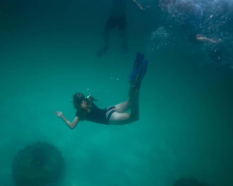 Destin: Reef Snorkeling Adventure - In-Depth Breakdown of the Itinerary