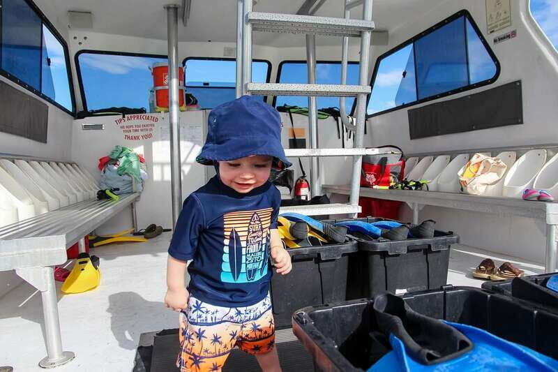 Destin: Snorkeling Cruise with 2 Stops and Dolphin Watching - The Itinerary: What to Expect on Your Snorkeling Adventure