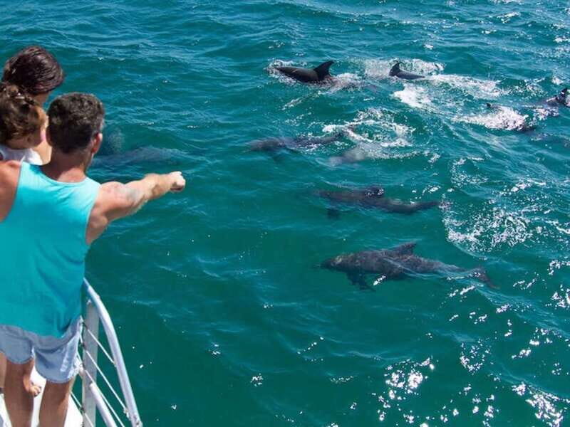 Destin: Snorkeling Cruise with 2 Stops and Dolphin Watching - The Sum Up: Is It Worth It?