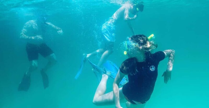 Destin: Snorkeling, Dolphins, and Crab Island - Who Will Love This Tour?