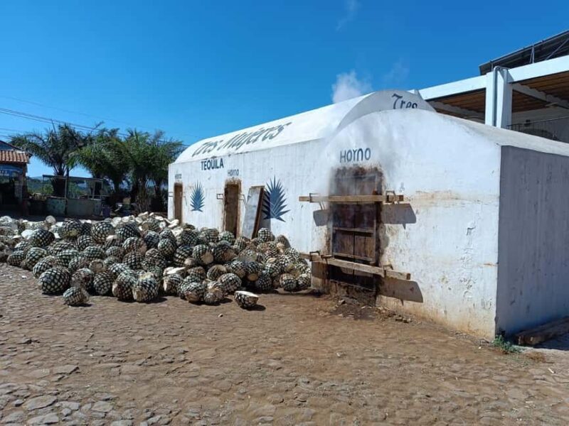 Destino Tequila: Experiencia Premier Privada - Discover Tequila: An Authentic Private Tour from Guadalajara