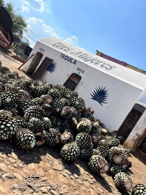 Destino Tequila: Experiencia Premier Privada - Key Points