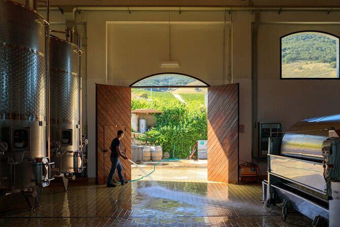 Di Giovanna Winery Tour & 5 Wine Tasting - Practical Details & Booking Tips