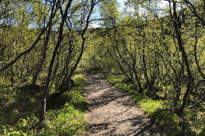 Diamond Circle Day Tour from Akureyri - Who Is This Tour Best For?