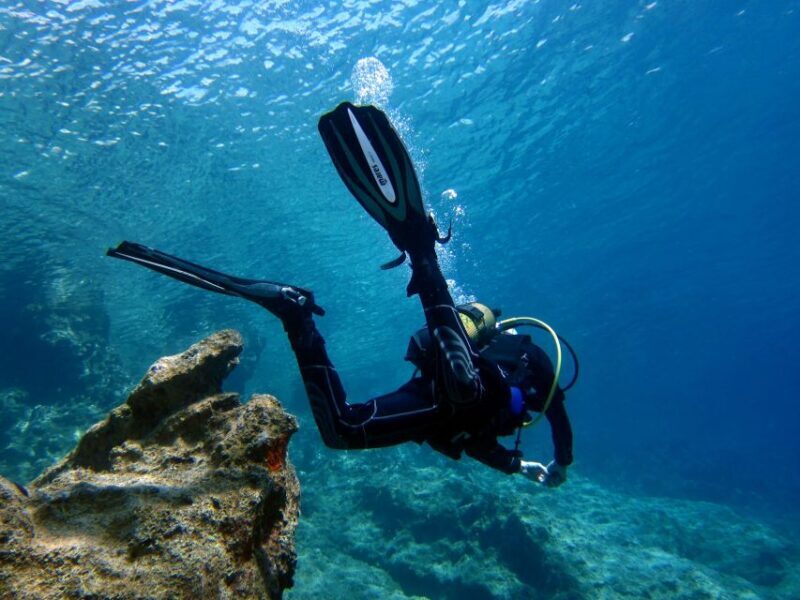 Didim: Scuba Diving Experience w/Hotel Pickup & Lunch - Is This Tour Worth the Price?