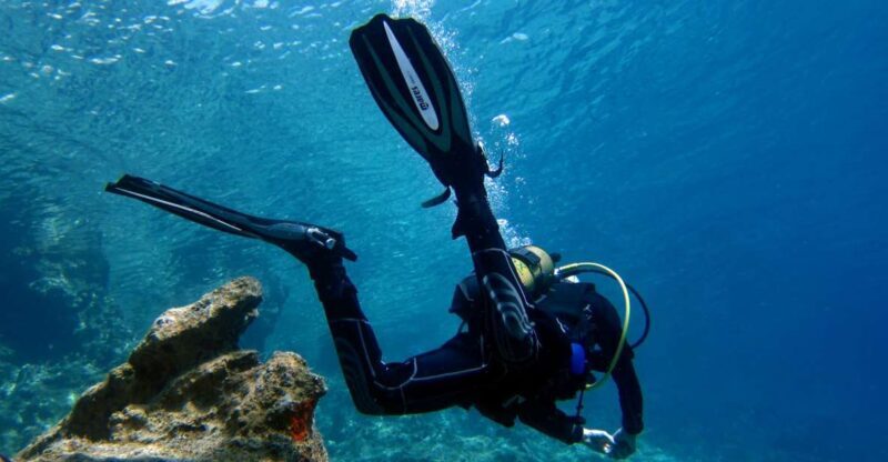 Didim: Scuba Diving Experience w/Hotel Pickup & Lunch - Who Is This Tour Best For?