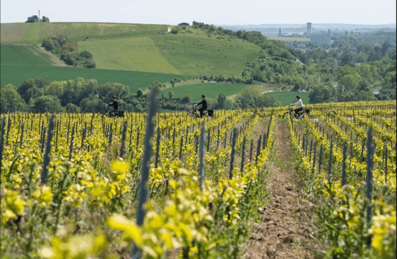 Dijon/Beaune: Full day Ebike Burgundy tour, tastings & lunch - A Deep Dive into the Burgundy E-Bike Tour