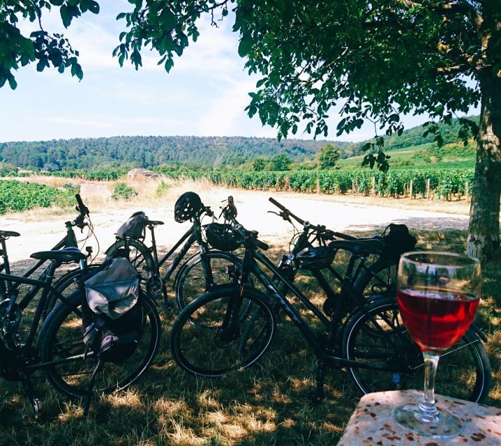 Dijon: Bike tour and Tastings in the Vineyards of Burgundy - FAQ