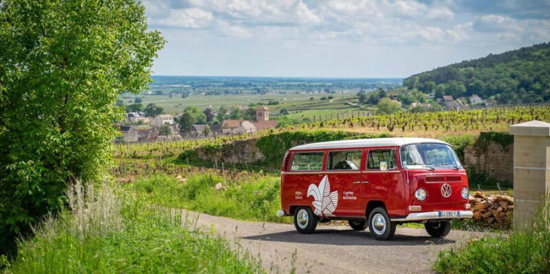 Dijon: Burgundy Small-group Vintage Van Tour - A Close Look at the Tour Experience