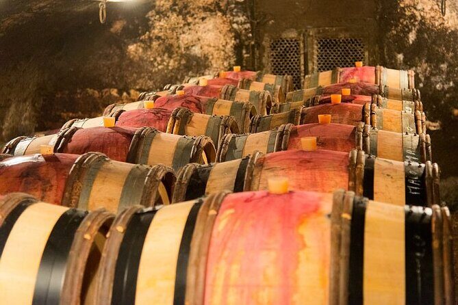 Dijon Wine Tour Côte de Nuits and Côte de Beaune Vineyards - Who Should Consider This Tour?