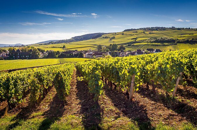 Dijon Wine Tour Côte de Nuits and Côte de Beaune Vineyards - Frequently Asked Questions