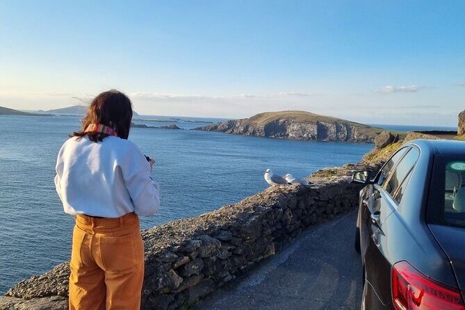 Dingle: Hour Slea Head Drive Tour 4hr - Personal Chauffeur Guide - Who Is This Tour Best For?
