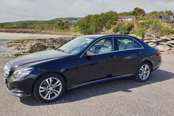 Dingle: Slea Head Drive Tour 3hr- Personal Chauffeur Guide - Who Should Book This Tour?