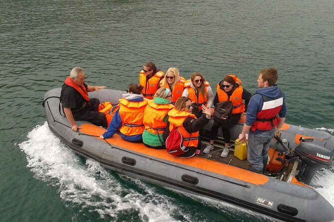Dingle to Blasket Island Ferry - Why This Tour Works (And Who It’s For)