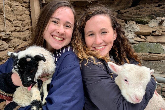 Dingle Town & Peninsula Private Chauffeur Driven Day Tour From Killarney Luxury - The Sum Up