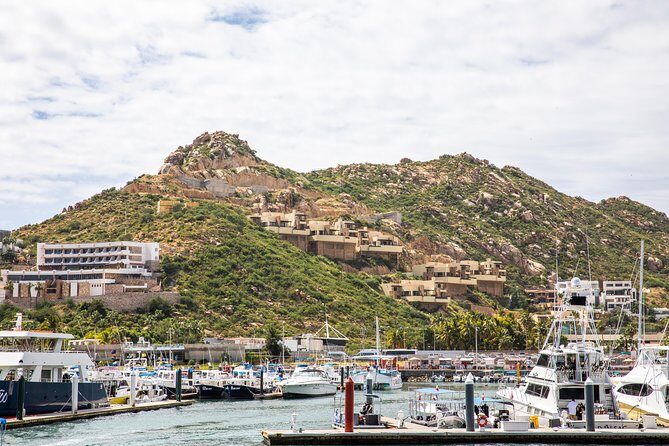 Dinner Cruise Tour in Cabo San Lucas with Tequila Tasting - The The Sum Up: Is It Worth the Price?