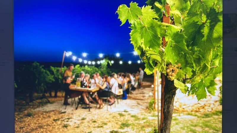 Dinner in the vineyard and wine tasting under the stars - An Evening in the Vineyard: A Dinner and Wine Tasting Experience in Apulia