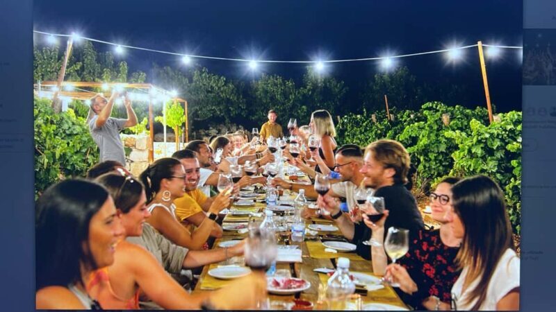 Dinner in the vineyard and wine tasting under the stars - Key Points