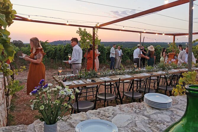 Dinner in the vineyard with wine tasting and walk - Exploring the Dinner in the Vineyard Experience in Brindisi