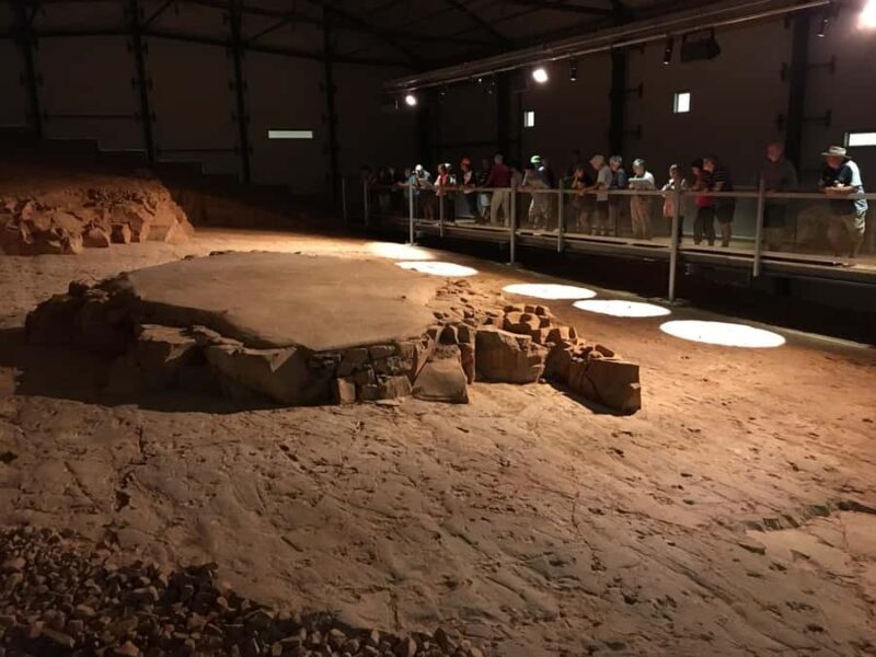 Dinosaur Stampede Half Day Tour - Dino Dash - Starting the Adventure: Pickup and Transport