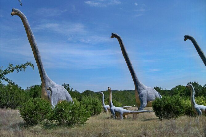 Dinosaur World Glen Rose - The Experience from Visitor Perspectives