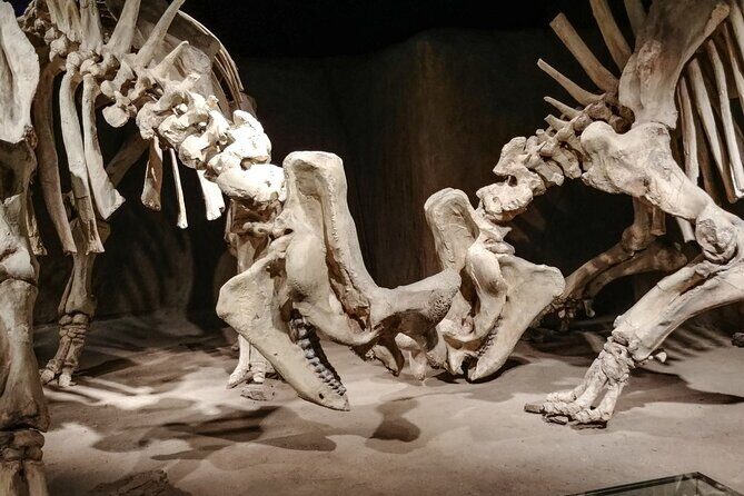 Dinosaurs, Canyons & Ghost Towns: Ultimate Drumheller Day Tour - The Itinerary Breakdown: Why It Works