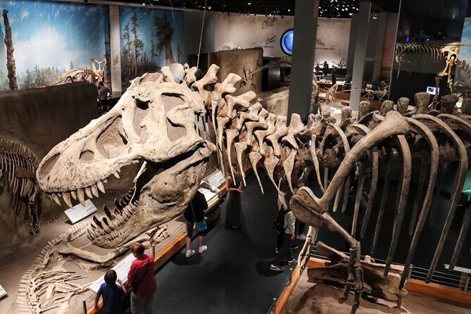 Dinosaurs, Canyons & Ghost Towns: Ultimate Drumheller Day Tour - Insights from Reviews: What Travelers Say