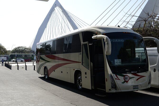 Direct Airport Transfer to Tequila Jalisco - Who Is This Transfer Best For?