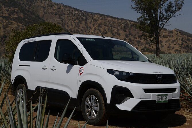 Direct Airport Transfer to Tequila Jalisco - The Sum Up