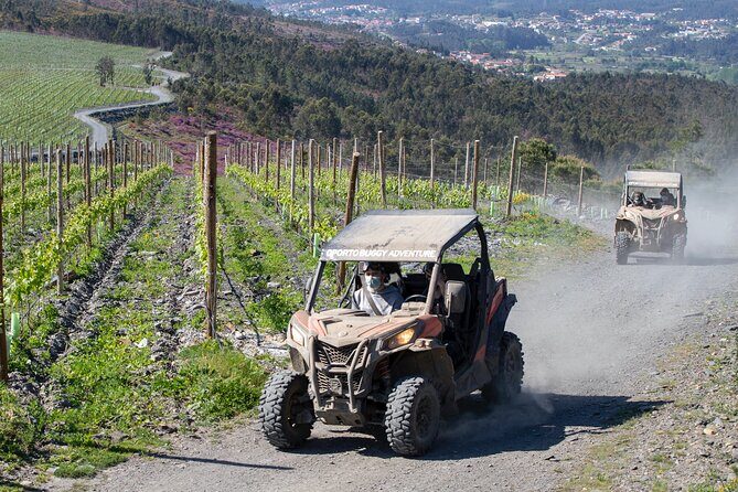 Dirt and Dust Tour by Oporto Buggy - Who Will Enjoy This Tour?