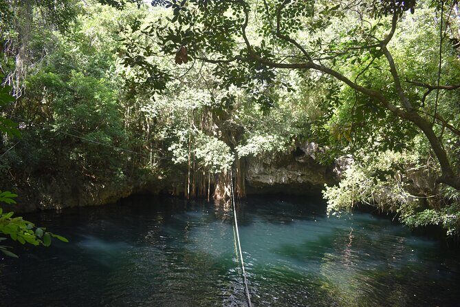 Discover 3 amazing cenotes. Includes transport & snack - Final Thoughts: Why Choose This Cenotes Tour?