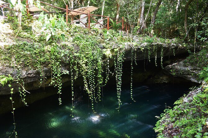 Discover 3 amazing cenotes. Includes transport & snack - FAQ