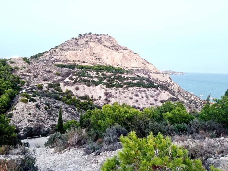 Discover Alicante's mountain: Serra Grossa (Guided Excursion) - Authentic Experiences from Travelers