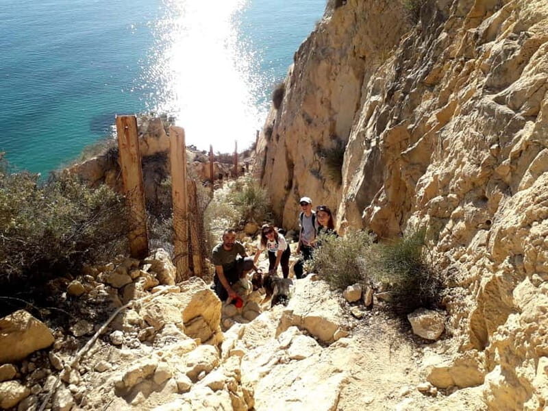 Discover Alicante's mountain: Serra Grossa (Guided Excursion) - The Sum Up