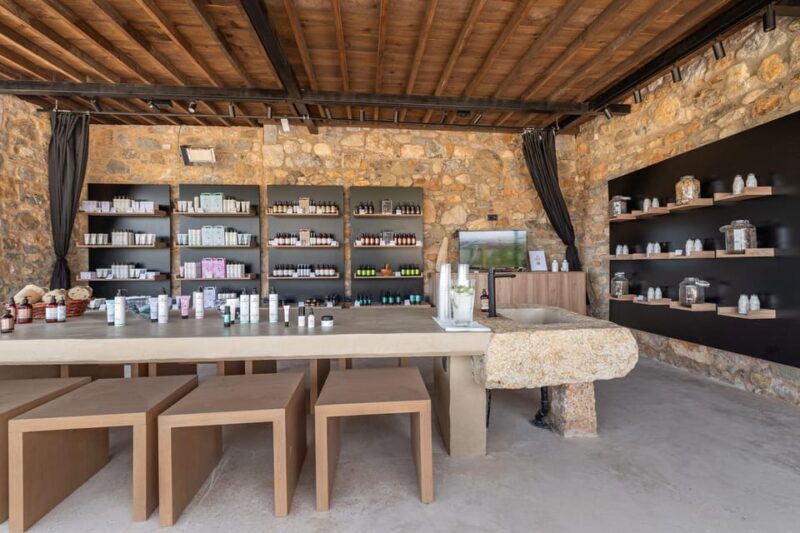 Discover Aloe: A Farm Walk & Workshop - The Value of the Experience