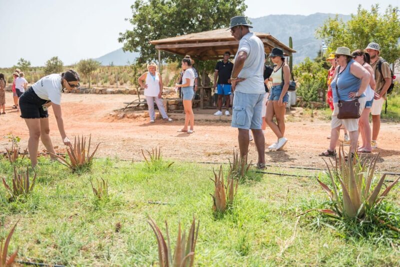 Discover Aloe: A Farm Walk & Workshop - Frequently Asked Questions