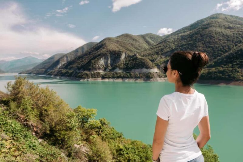 Discover Ananuri, Gudauri, & Kazbegi Guided Day Tour - The Sum Up