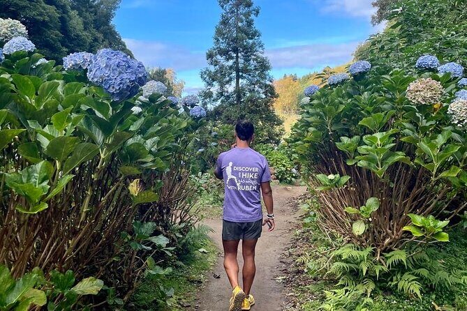 Discover and Hike São Miguel Island with Guide - What Past Travelers Say: Authentic Insights
