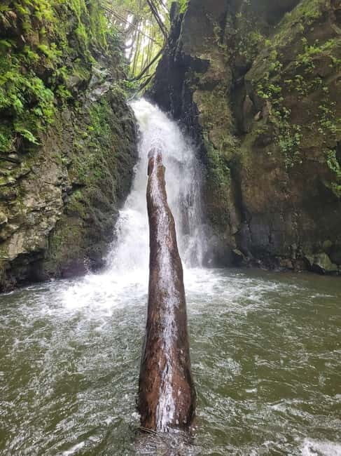 Discover and Hike São Miguel with Rúben - Practical Details and Value