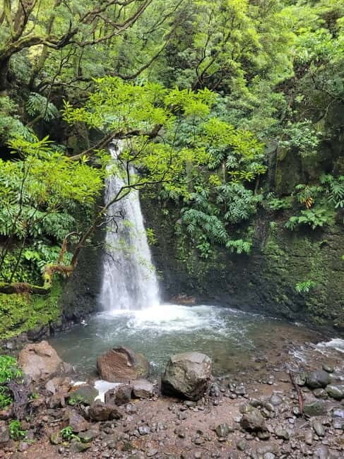 Discover and Hike São Miguel with Rúben - FAQs