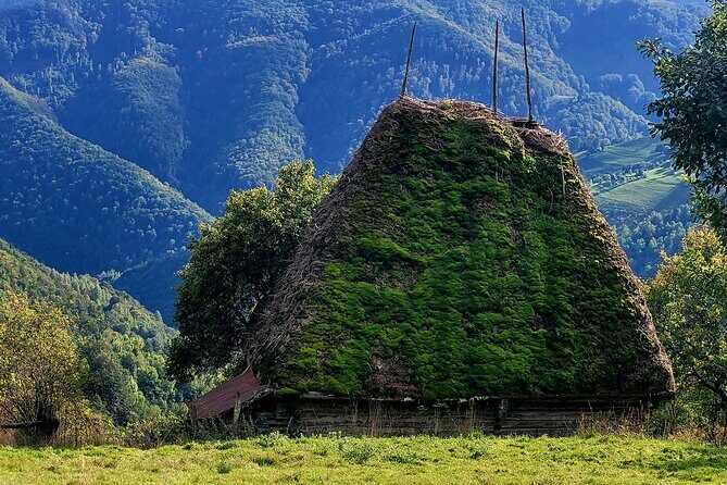 Discover Apuseni Mountains - Scarita Summit,Sipote Waterfall and Dumesti Village - An In-Depth Look at the Apuseni Mountains Tour