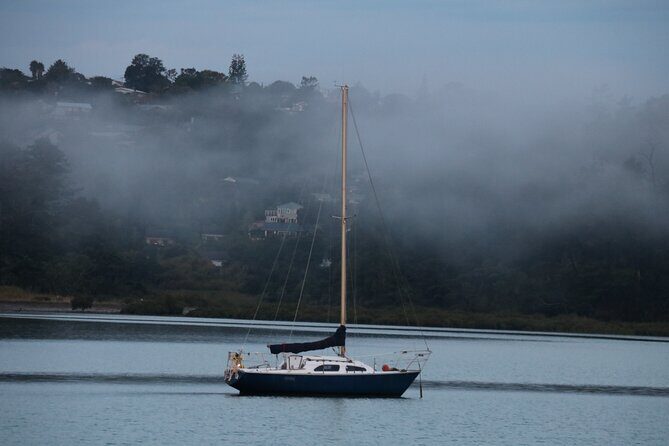 Discover Aucklands Famous Spots - An In-Depth Look at the Experience