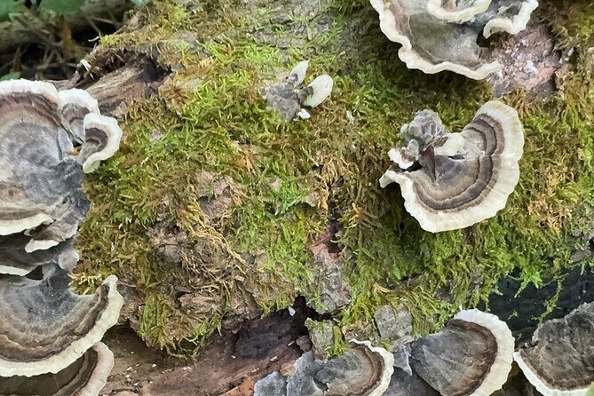 Discover Aurora Illinois Hiking Getaway - Who Will Enjoy This Tour?