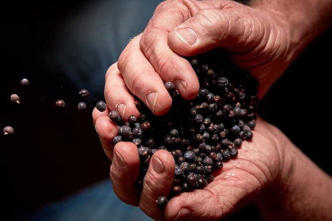 Discover Bellarine Wine, Cider and Craft Beer with Private Bus - A Deep Dive into the Bellarine Experience