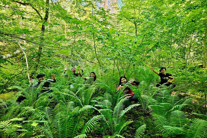 Discover Best Of Gauja National Park In One Day - An In-Depth Look at the Gauja National Park Day Tour