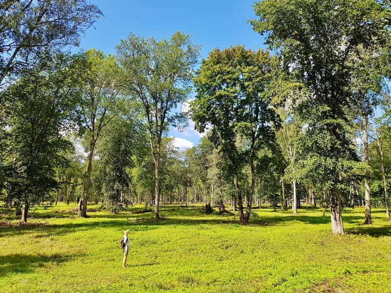 Discover Best of Sigulda and Gauja National Park In One Day - Final Thoughts