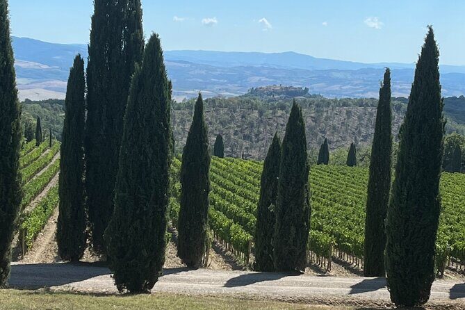 Discover Brunello Wines with DiWine Experience - Key Points