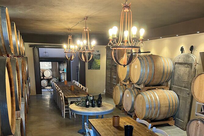 Discover Brunello Wines with DiWine Experience - What to Expect from the Brunello Wine Tour